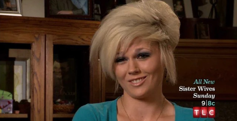 ‘Sister Wives’: Fans Nominate the Perfect Person to Host the Tell-All ...
